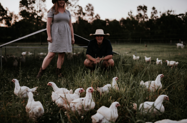 Chicken Feet - The Food Farm